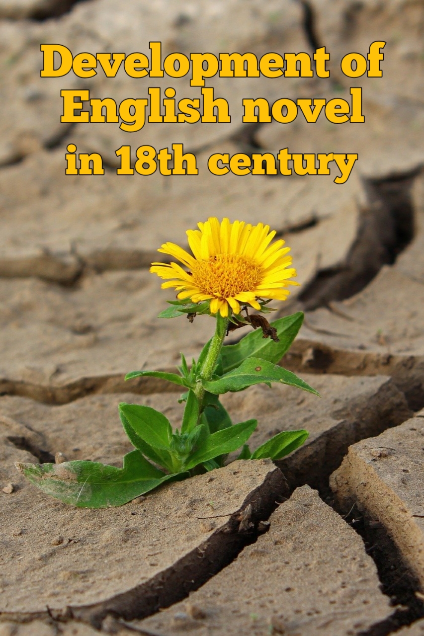 Rise Of English Novel Development Of English Novel In 18th Century rise-of-english-novel-development-of-english-novel-in-18th-century