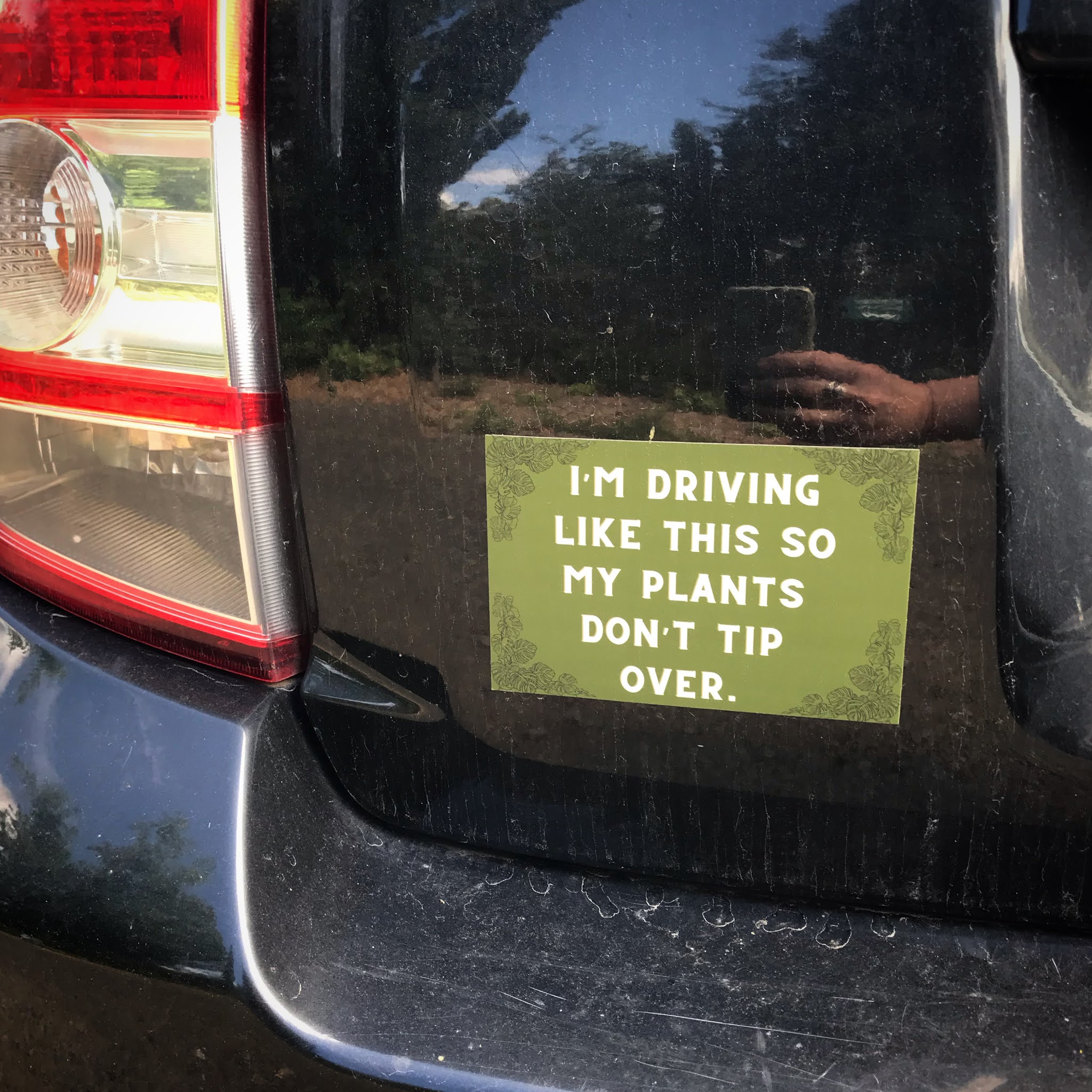 danger garden: Wednesday Vignette; best bumper sticker ever...