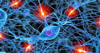 Estudios mediante Impulsos Eléctricos: ¿QUÉ SON LOS ESTUDIOS MEDIANTE ...