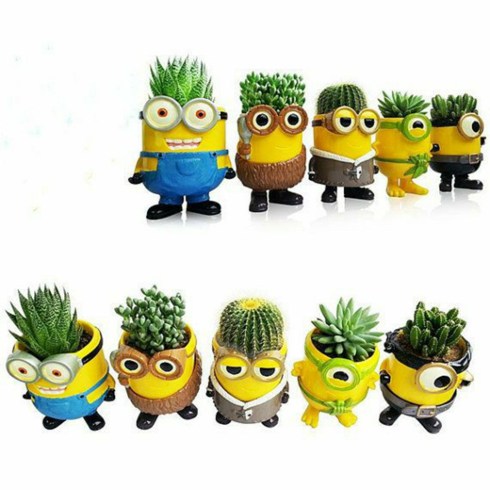 Pot Tanaman Lucu dan Unik - idrora