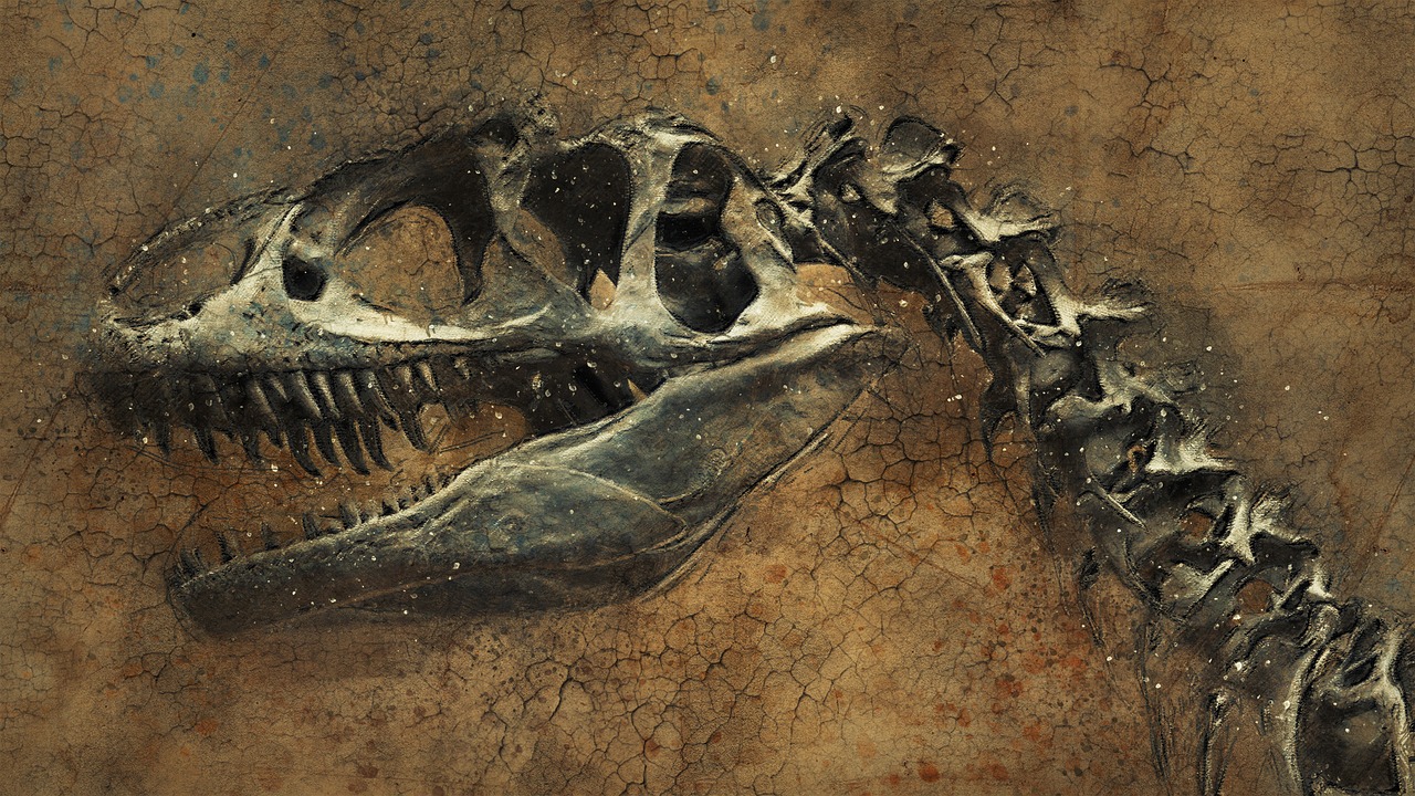 Free Technology for Teachers: Fossils 101 - And How Scientists Know ...