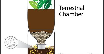 What is an eco-column project?