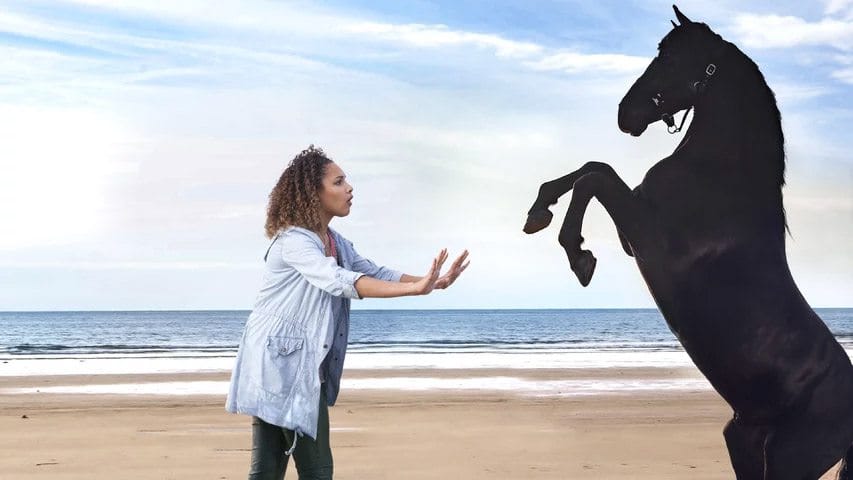 CRÍTICA: FREE REIN - A RIENDA SUELTA [NETFLIX] Segunda temporada ...