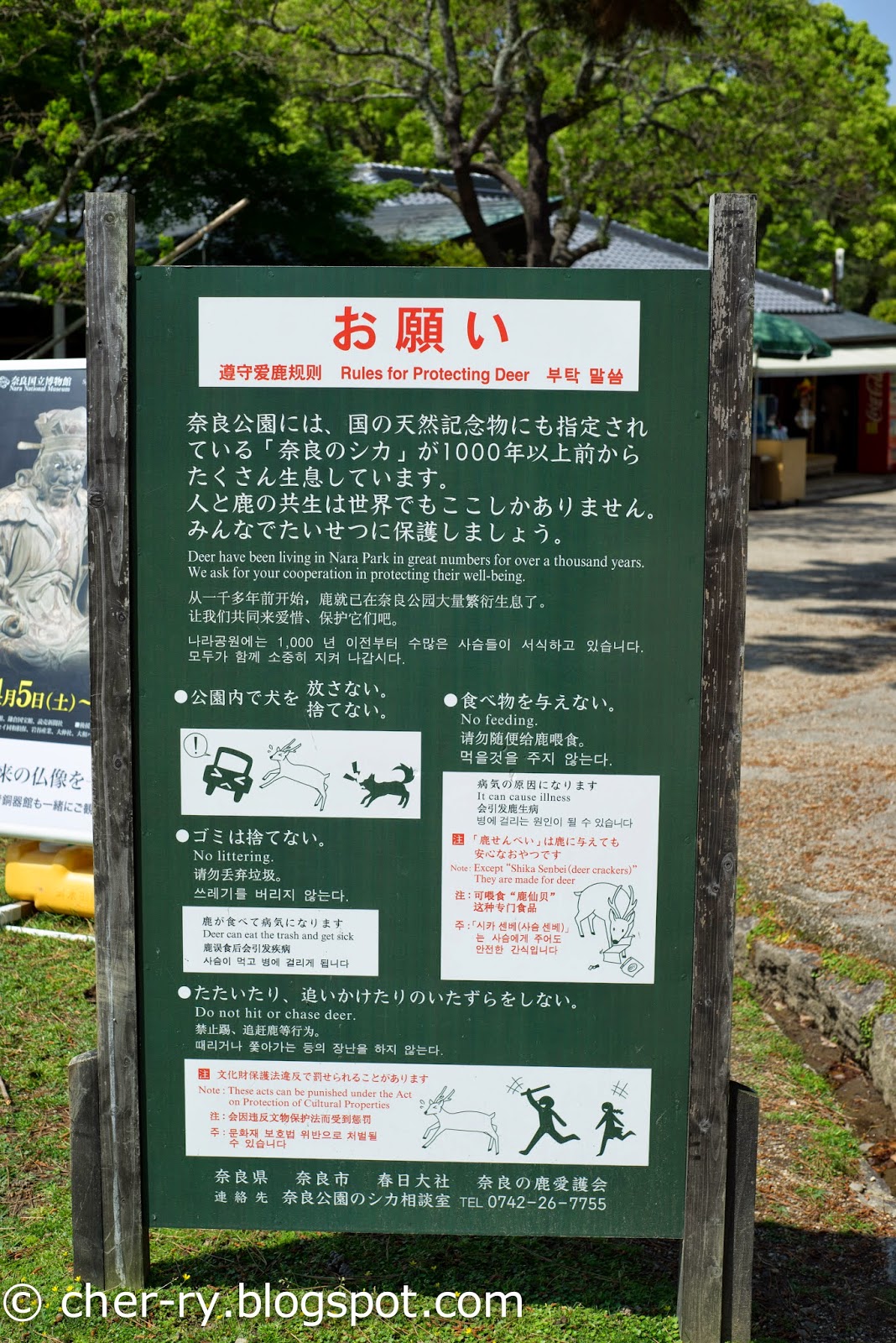 Life of a Lil Notti Monkey: Nara, Nara