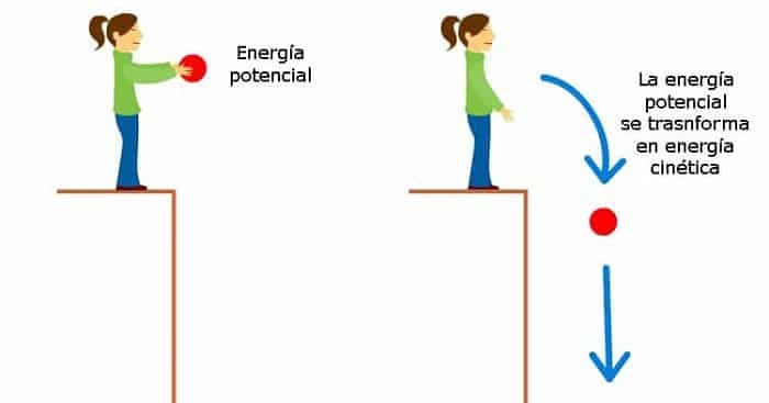 COMPENDIO DE DE BIOFÍSICA : 14. FUERZA Y ENERGÍA