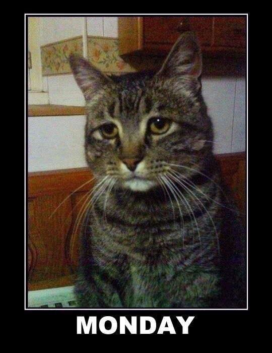 Nick's Bytes: Too Bad It's Monday Funny Stuff
