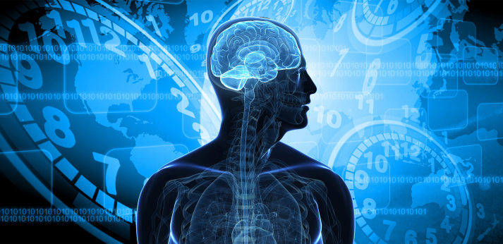 Cara Kerja Jam Biologis Secara Biologi Molekuler - SIAP UJIAN