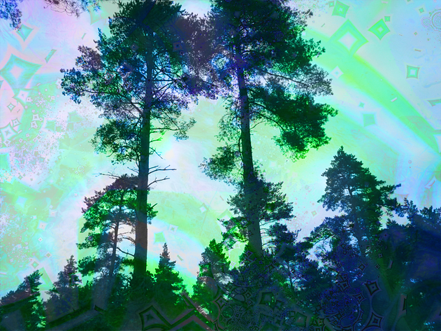 Lucid Exposition: The Useless Tree