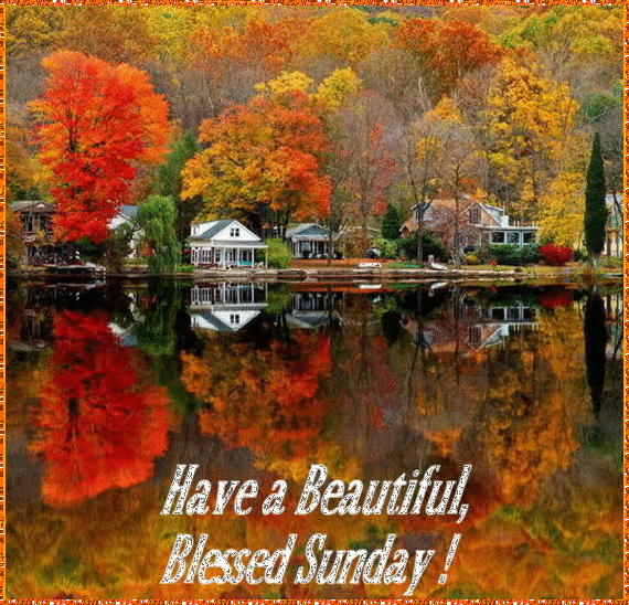 Reflections from Bon Bon Pond: Sunday Blessings