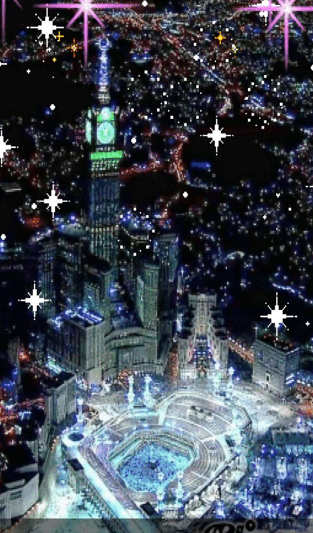 Macca Wallpaper HD - Wallpaper Box