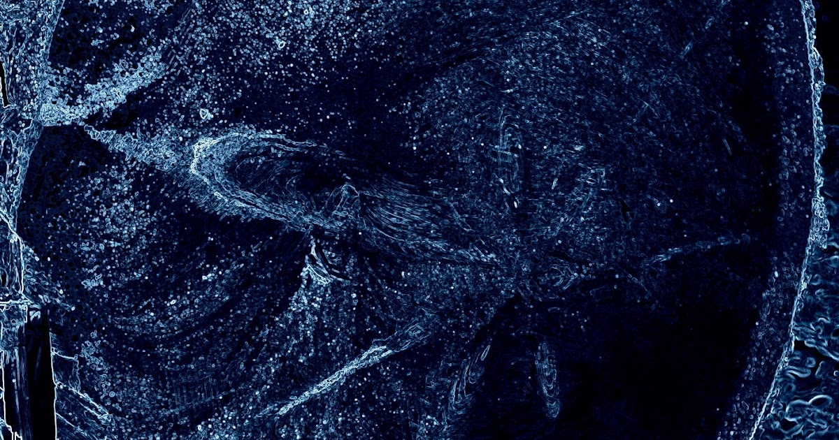 Lost in the Bozone: The Big Bang