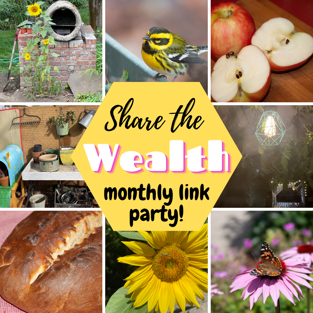 My Big Fat Menopausal Life Share The Wealth Linky 13 my-big-fat-menopausal-life-share-the-wealth-linky-13