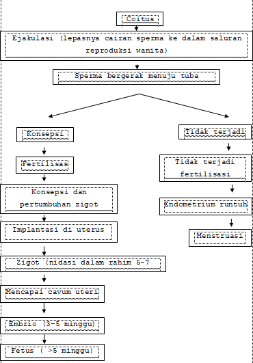 Askep Kehamilan Normal Nanda Nic Noc Terbaru - karya mahasiswa nurse