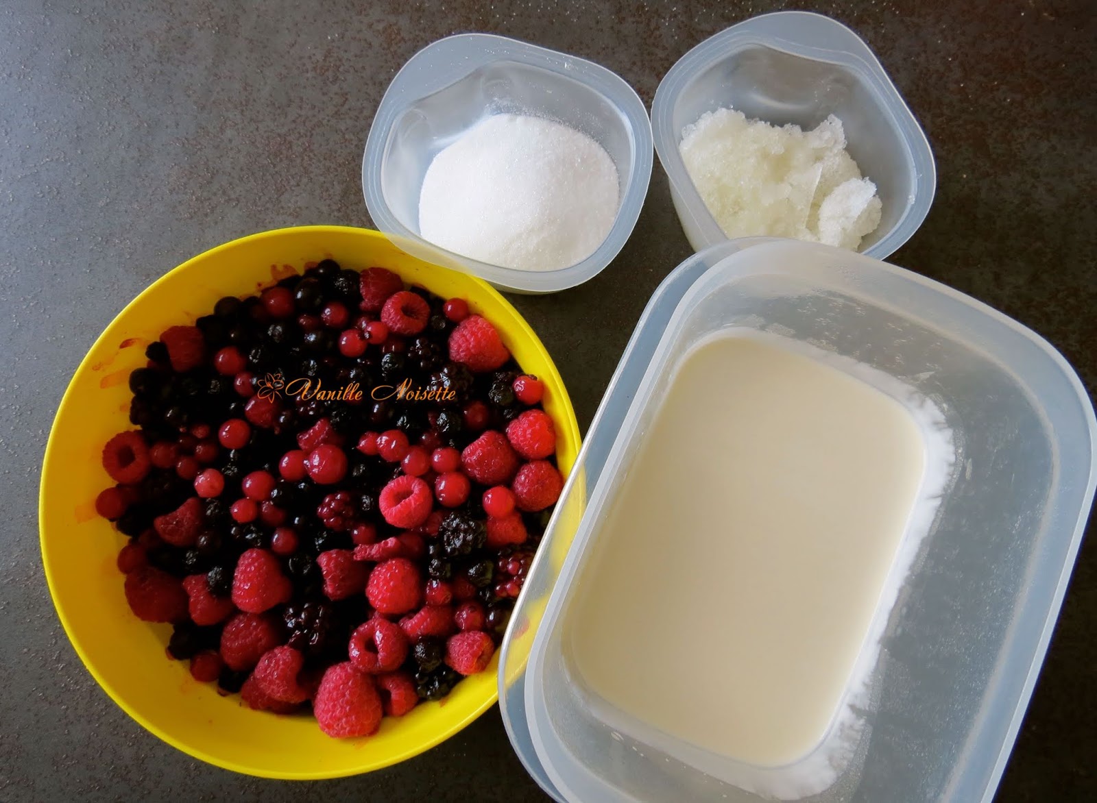 Vanille Noisette : BAVAROIS VANILLE/FRUITS ROUGES