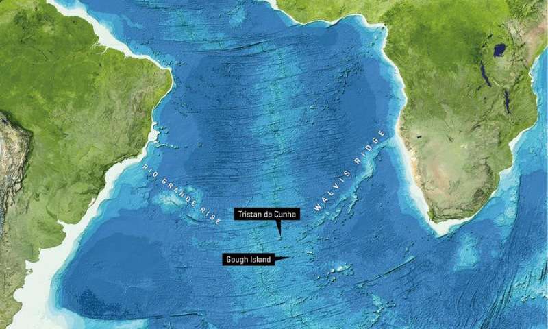 Twin volcanic chains above a single hotspot with distinct roots ...