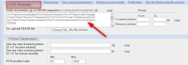 Primer designing- designing a Primer by NCBI Tool - TechSci