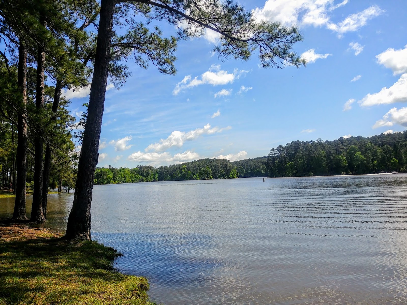 Another Mile Another Destination Blog: Mistletoe State Park, Appling ...