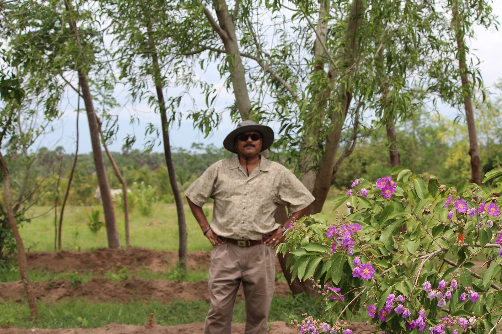 EnviroApps: EA FARMS - PLANTING MORE TREES