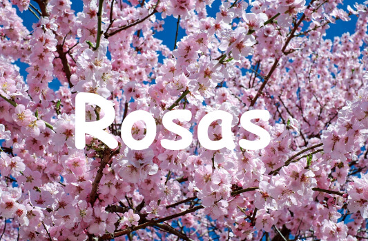 List of English and Tagalog Names of Colors - Filipino Parenting