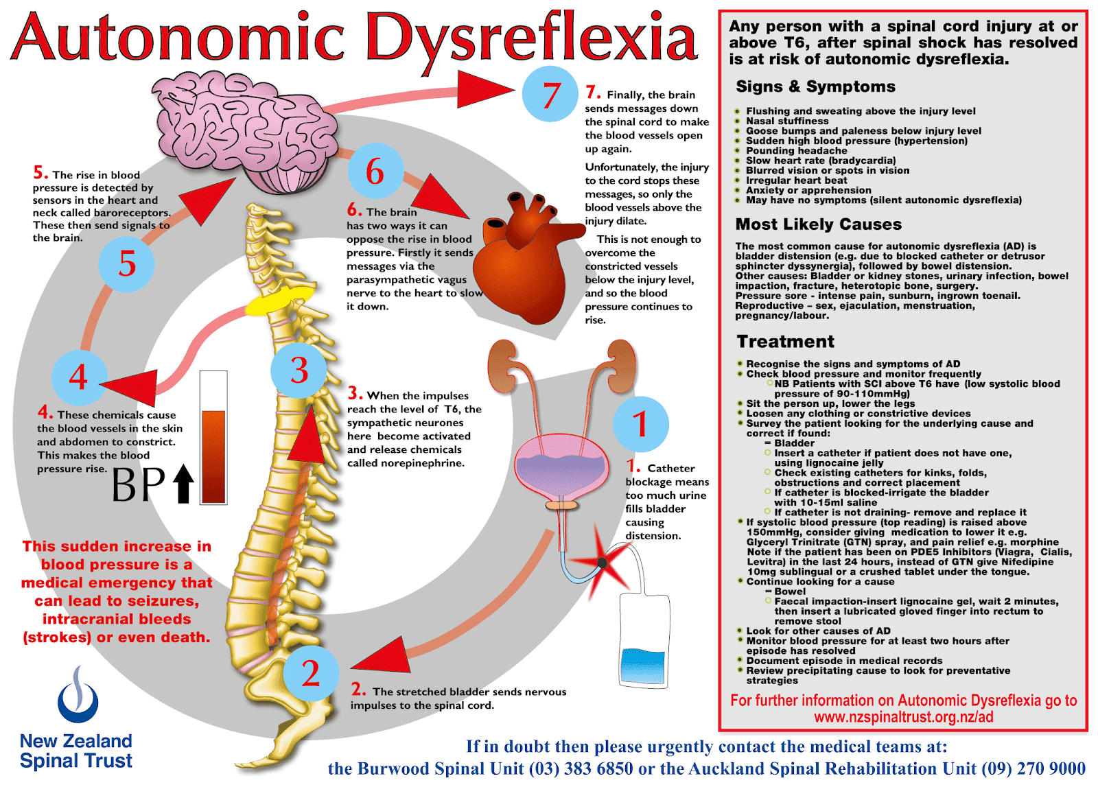 Preeda Station (disable person : C6-7): 136: ถึงคราวที่ผมมีอาการ "ภาวะ ...