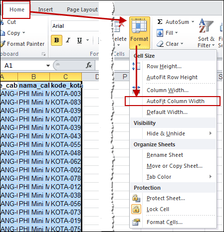 Jago Excel: Tips : Menggunakan Auto Fit pada Excel 2010