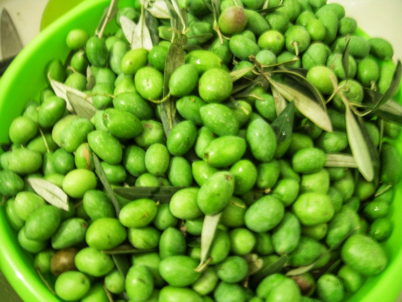 How do you know it is autumn in Israel