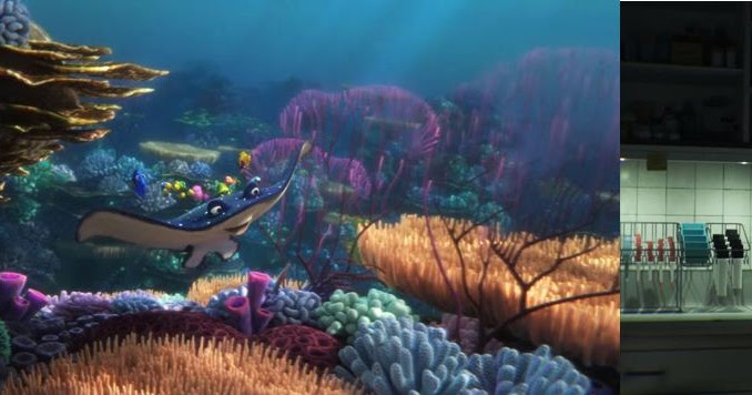 The Reef, Kelp Forest & Marine Life Institute - Exploring The Worlds of ...