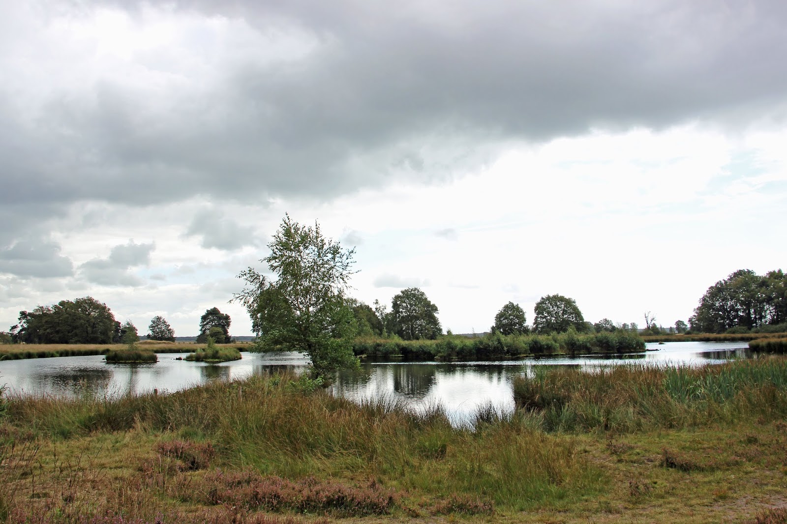 PLEZIER IN CULTUUR : november 2019