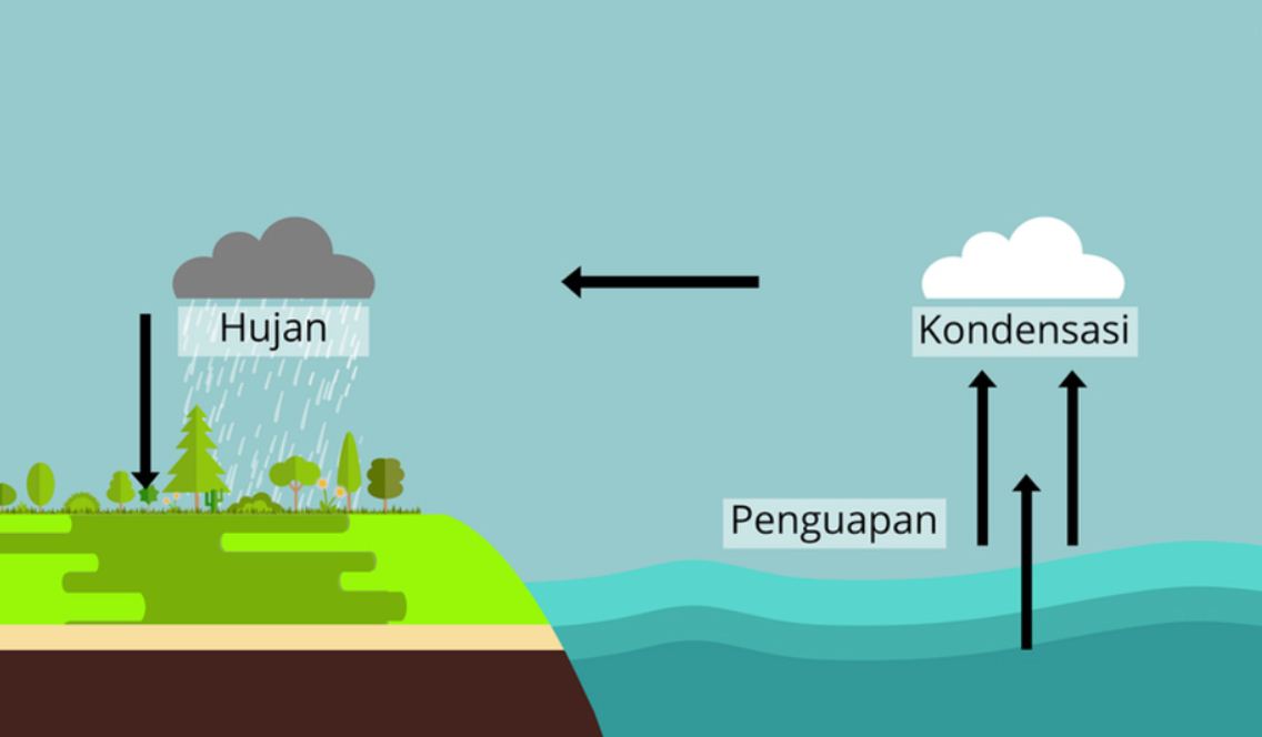 Jenis-Jenis Siklus Hidrologi - Geograpik