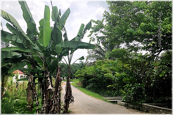 SUPERMENG MALAYA: WATIE CORNER, Nilai NS