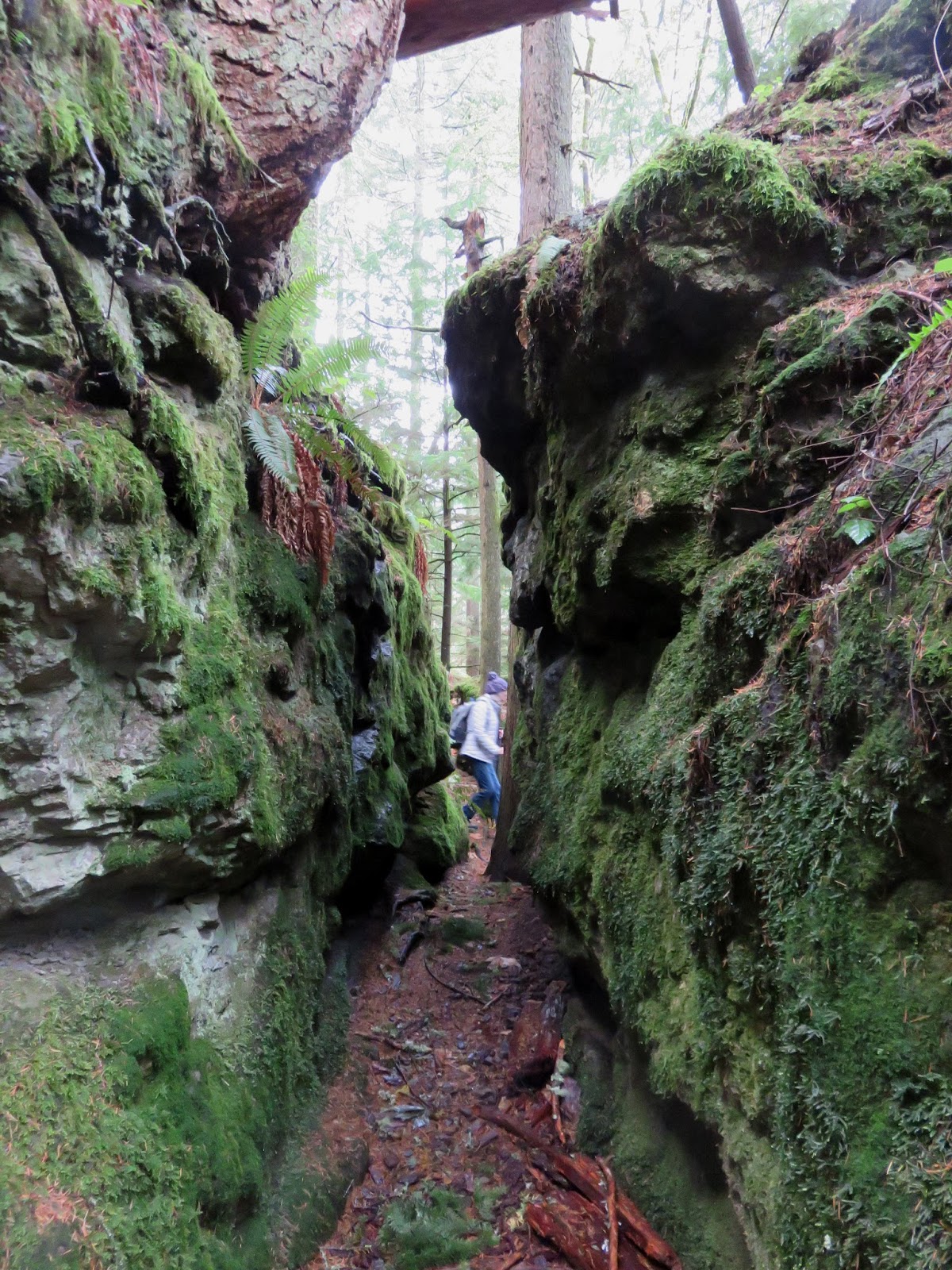 Writing With a Texas Twang: Talus Rocks - #SaturdaySnapshots