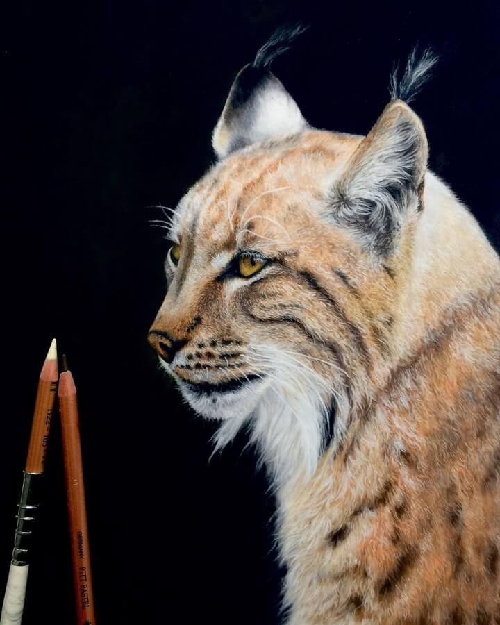 Design Stack: A Blog about Art, Design and Architecture: Animals and ...