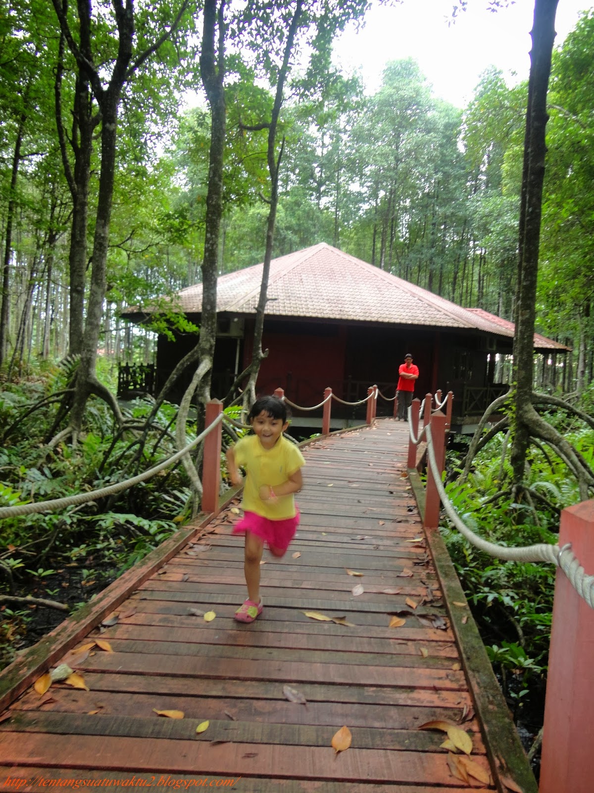 Hutan Paya Bakau Larut Matang | Suatu Waktu Kita