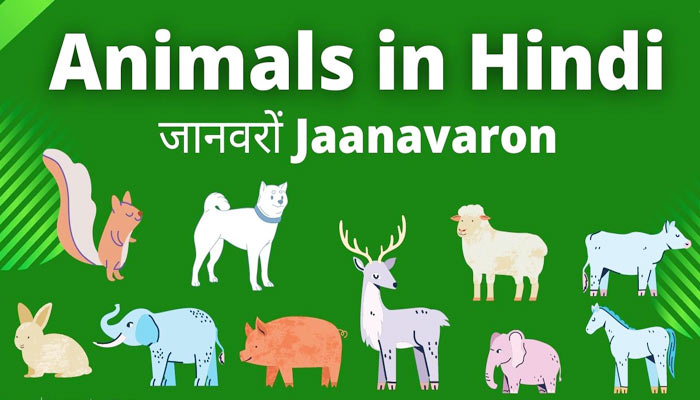 Animals Names In Hindi And English animals-names-in-hindi-and-english