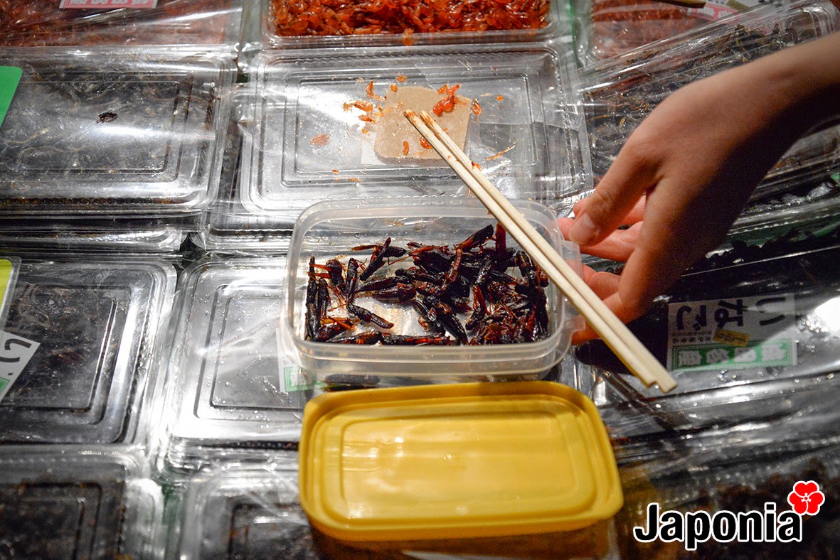 Inago: comiendo insectos - Academia Japonia