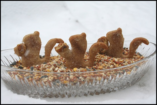 The New York Squirrel: Is Orange the New Black?