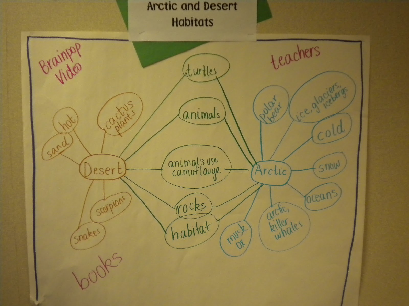 Team J's Second Grade Fun: Thinking Maps