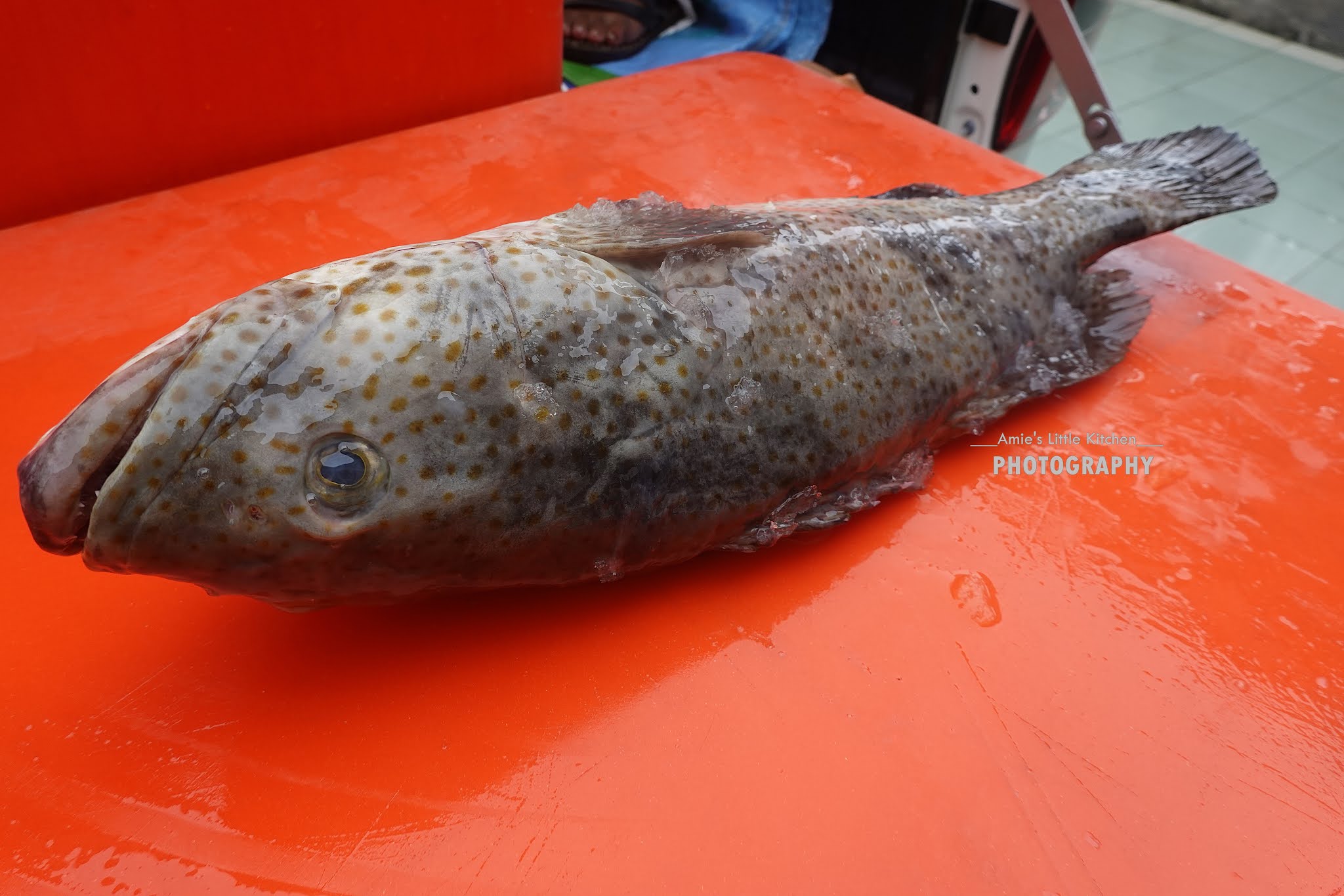 Jom Berkenalan dengan Keluarga Kerapu - Amie's Little Kitchen