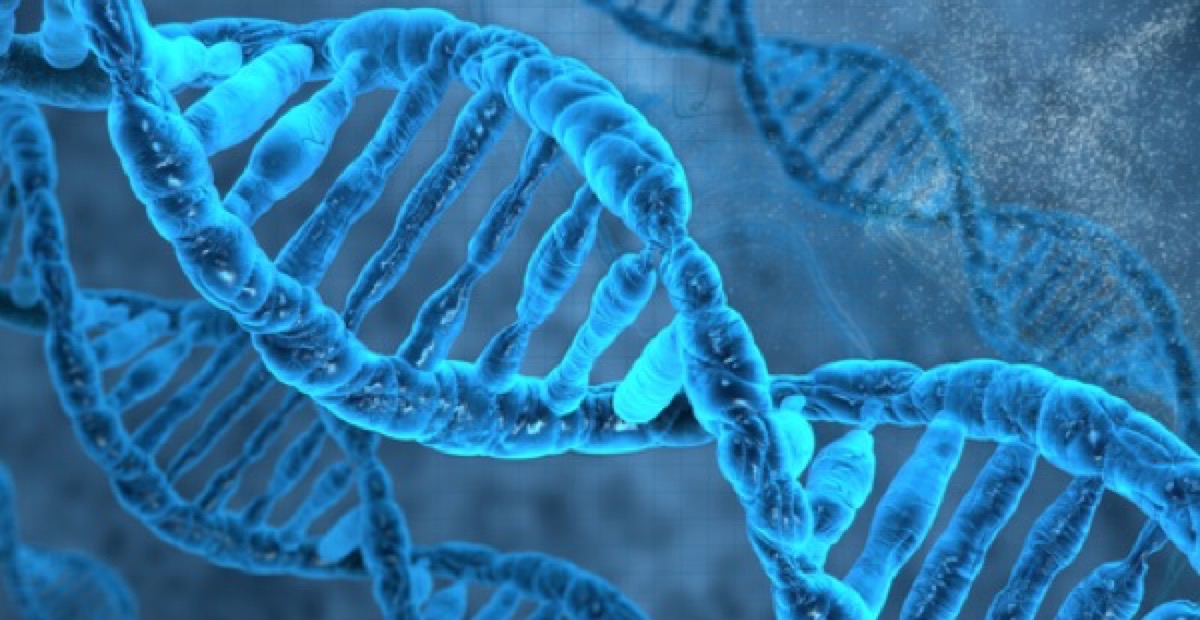 ΑΓΆΠΗ ΓΙΑ ΖΩH: ΚΥΡΙΑ ΑΥΤΟΑΝΟΣΑ ΝΟΣΗΜΑΤΑ