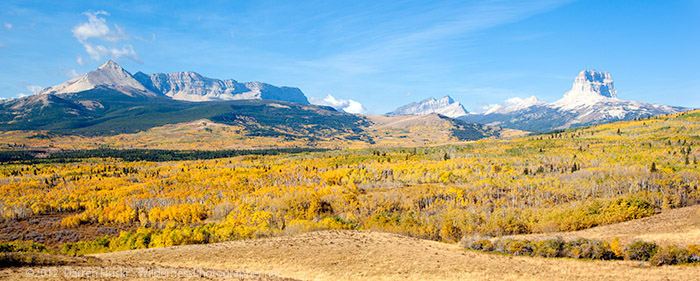 Montana Fall colors
