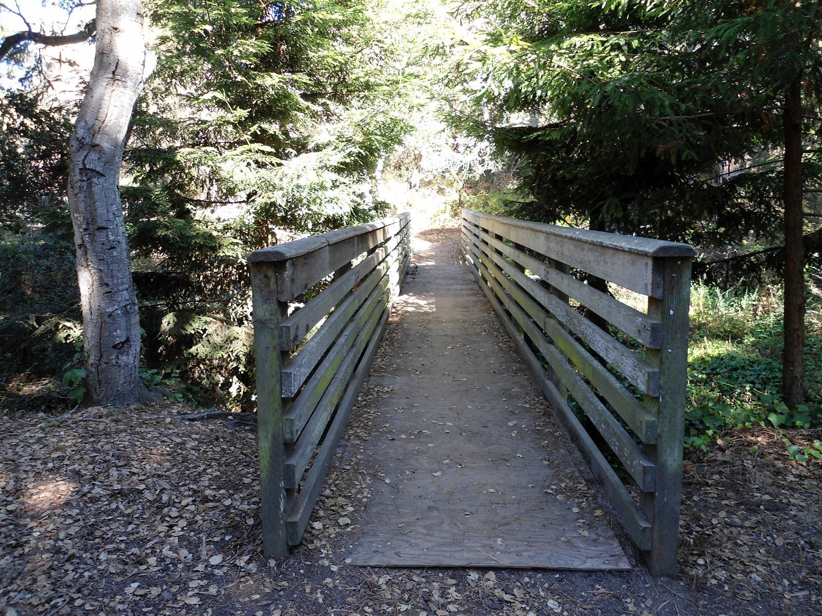 The Carmel-by-the-Sea WATCHDOG!: New Mission Trail Nature Preserve ...