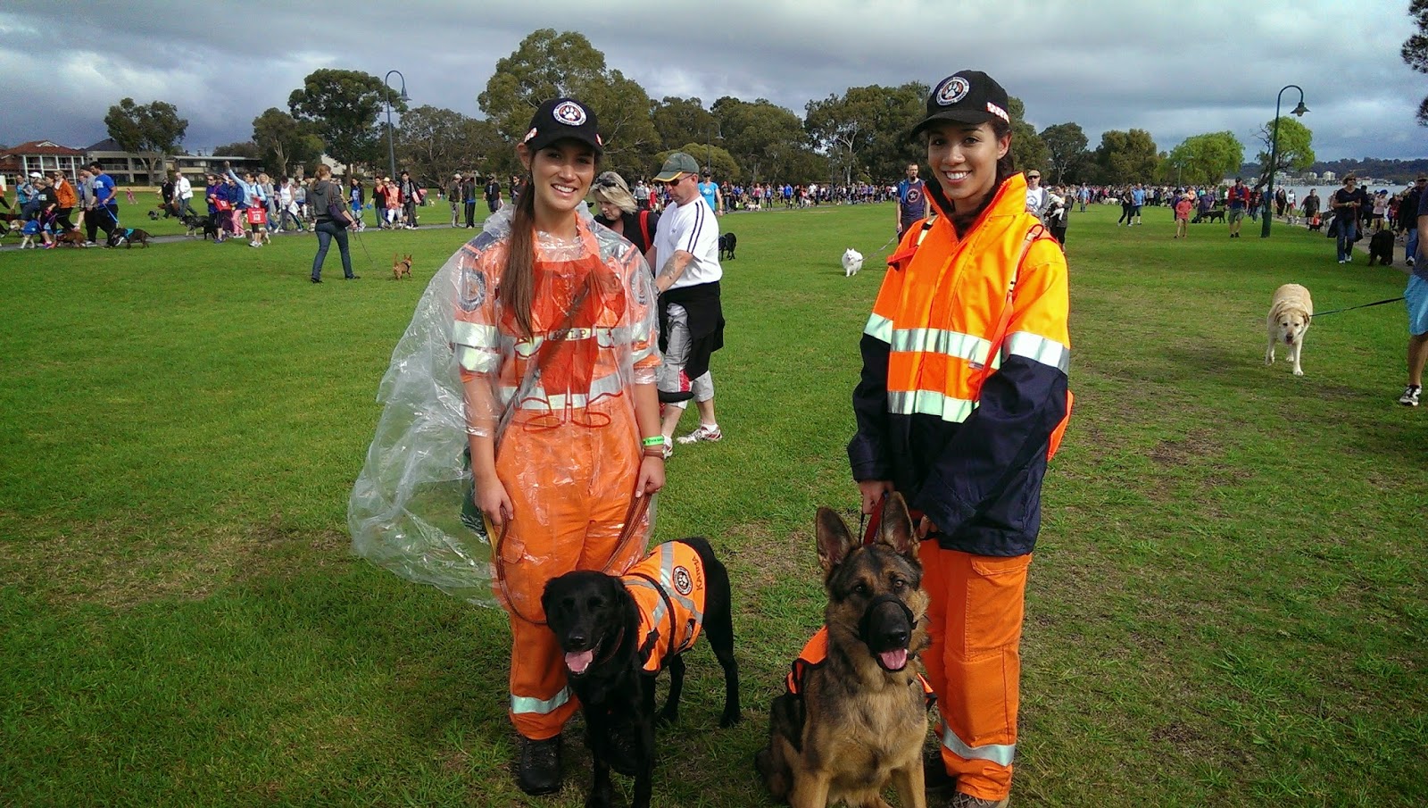 Search and Rescue Dogs Western Australian SES: RSPCA Million Paws Walk 2014 Search and Rescue Dogs Western Australian SES: RSPCA Million Paws Walk 2014