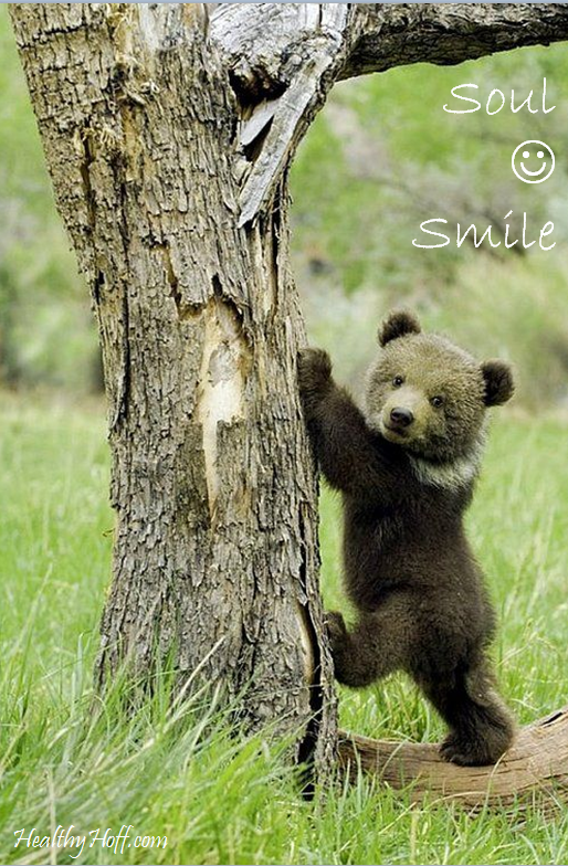 The Healthy Hoff: Soul :) Smile