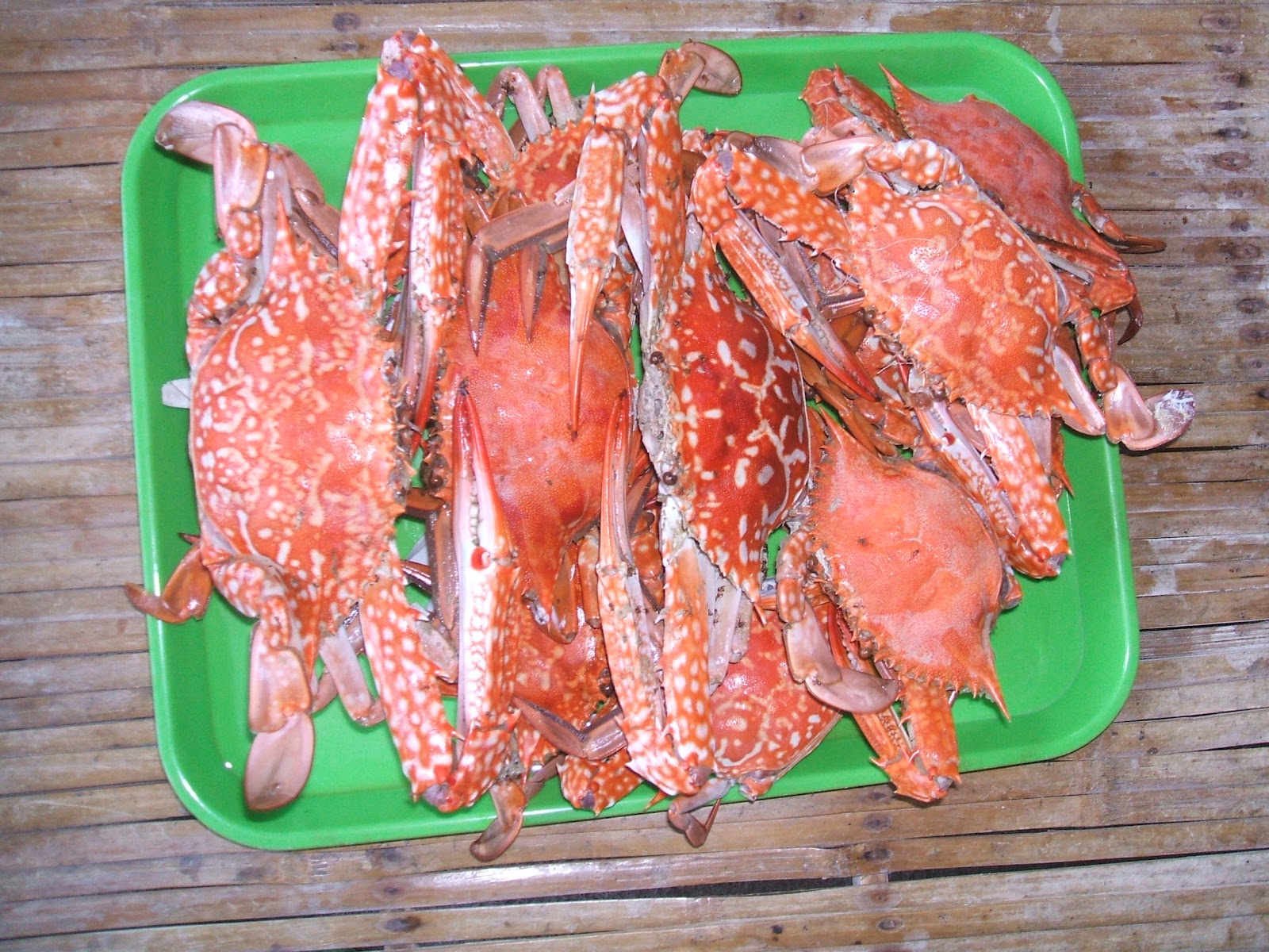 TIDBITS AND PIECES: FILIPINO FOOD (Pagkaing Pinoy)
