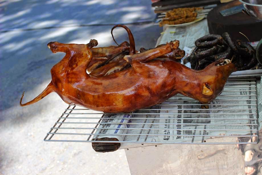 Prensa Libre Nagua: LOS 10 PAÍSES DONDE MÁS SE CONSUME LA CARNE DE PERRO