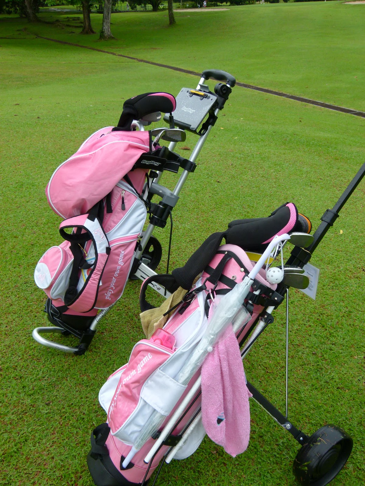 Two pink golf bags on golf push carts free picture for commercial use