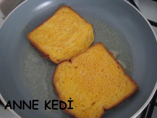 ANNE KEDİ: Ekmek Balığı