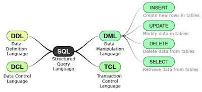 SQL Commands and Data Types || SQL Basics - DBMS Tutorial 3 - BlogLearner