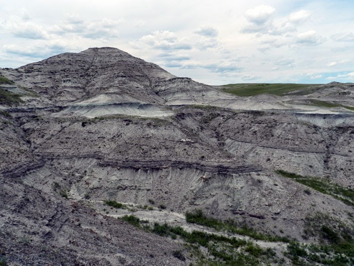 Coffee With Hallelujah: Cretaceous Summer 2014