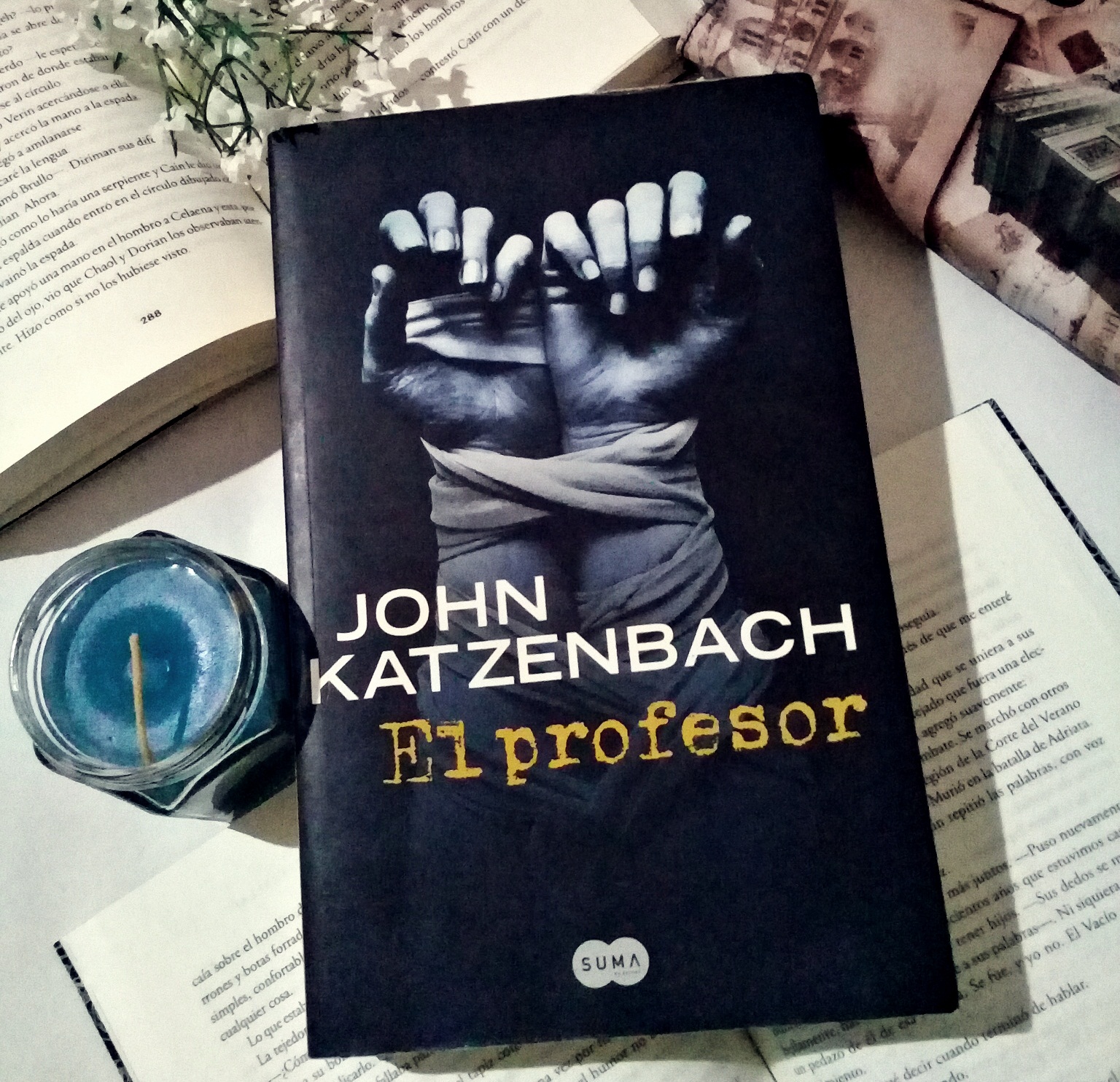 Mis Libros Pluma Y Libreta: Reseña: El profesor